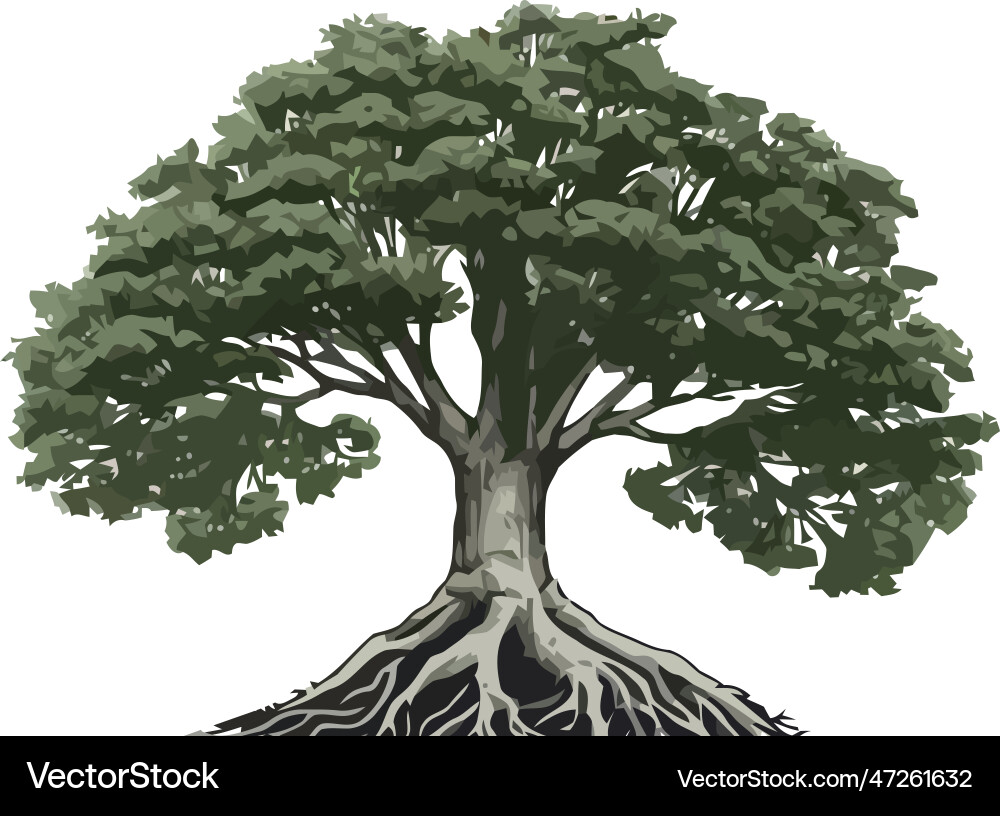 Nature big tree Royalty Free Vector Image - VectorStock