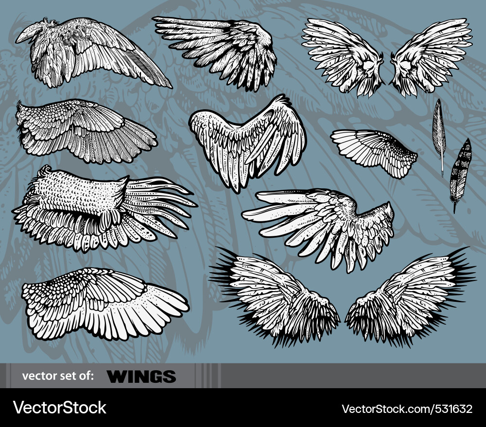 Set of wings Royalty Free Vector Image - VectorStock