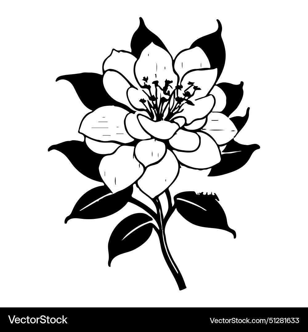 Azalea flower sketch Royalty Free Vector Image