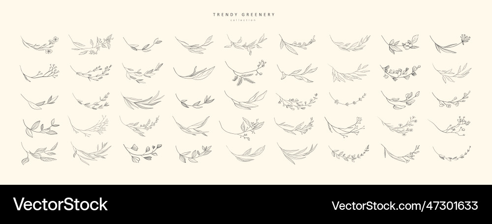 Floral Line Art & Wreath Elements – Royalty-Free Vector | VectorStock