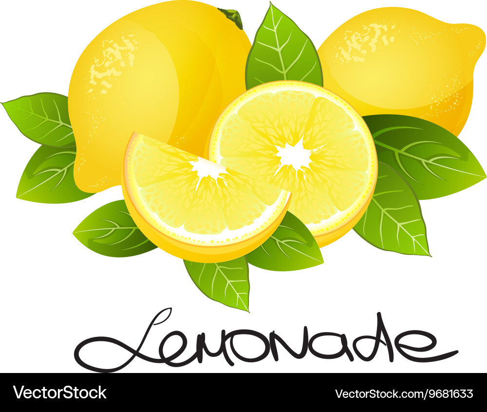 Fresh lemon fruit realistic citrus slice Vector Image