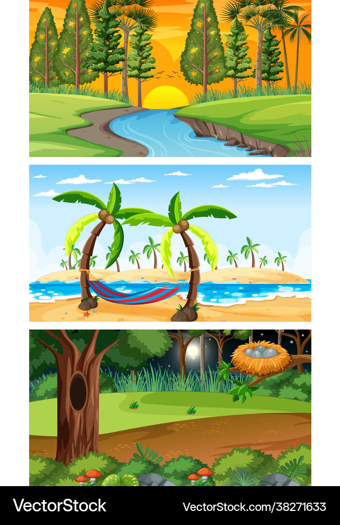 Set verschiedene Arten Wald horizontale Szenen Vektorbild