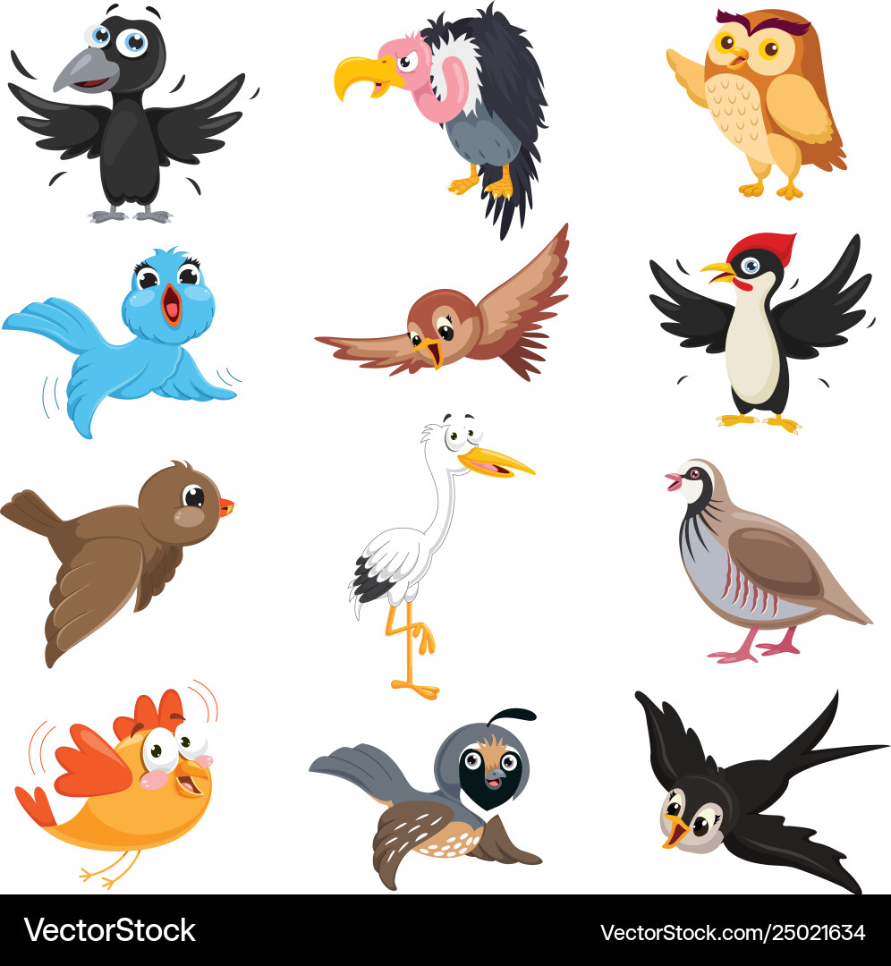 Cartoon birds Royalty Free Vector Image - VectorStock