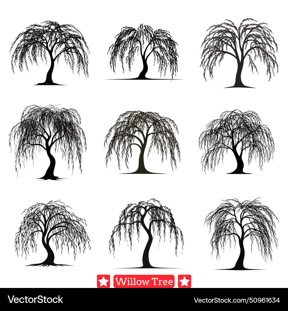 Harmony in nature willow tree pack for serenity Vector Image