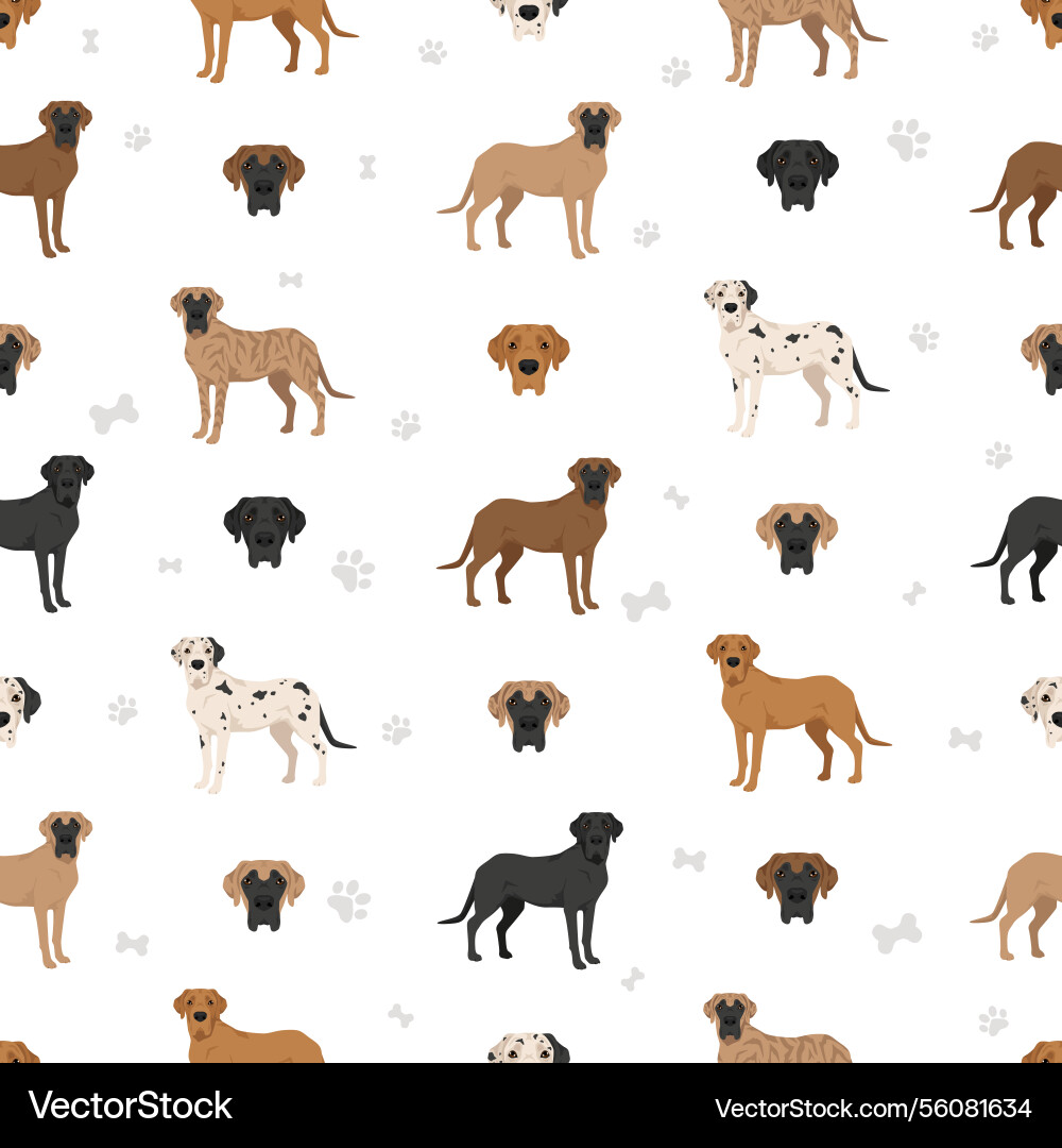 Labradane dog mix seamless pattern labrador Vector Image