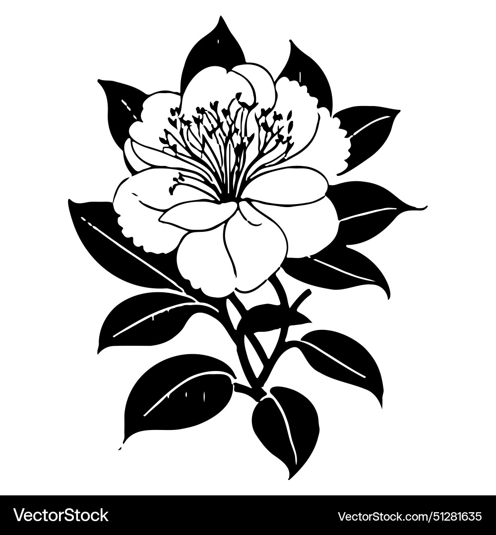 Azalea flower sketch Royalty Free Vector Image