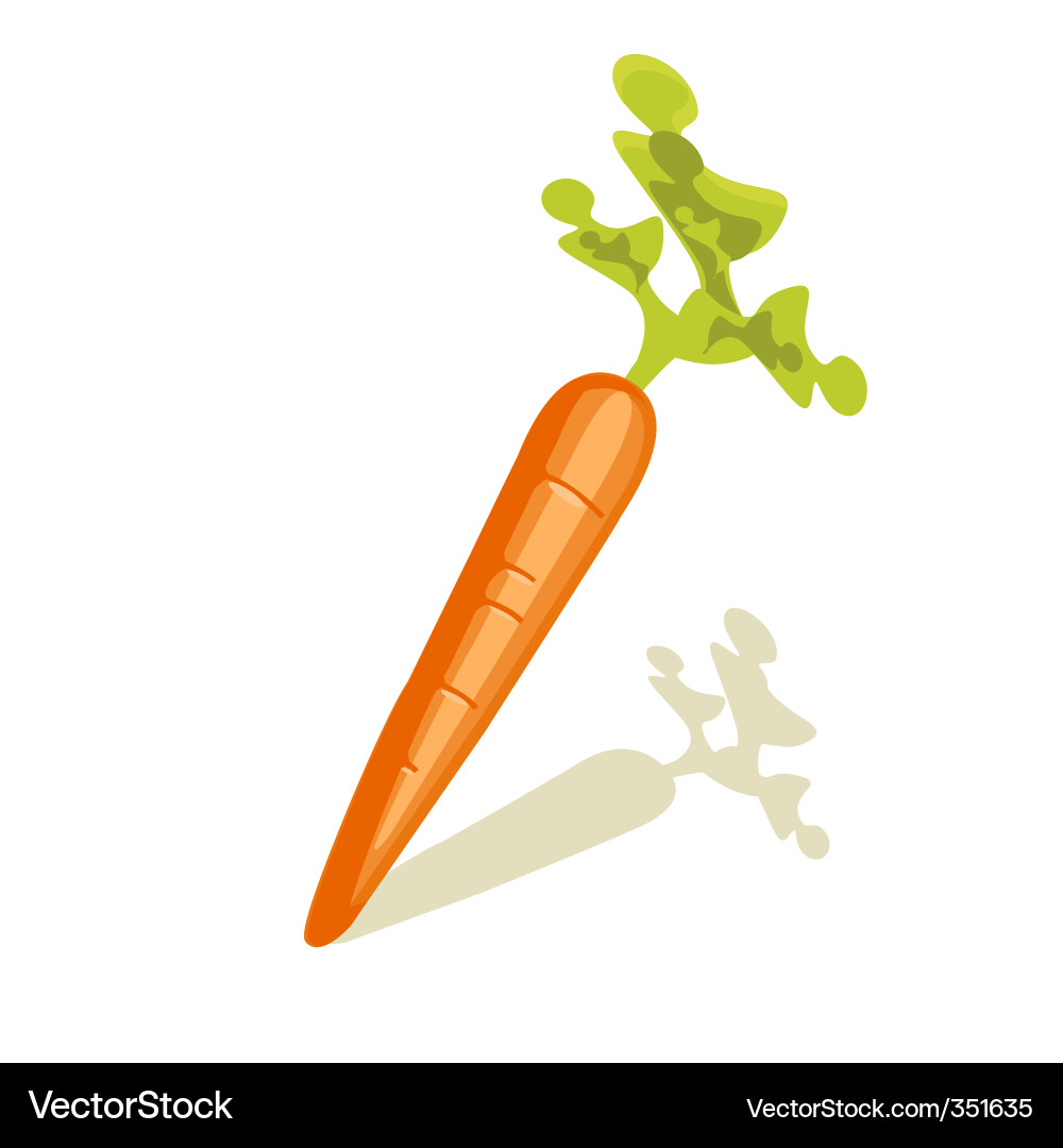 Carrot Royalty Free Vector Image - VectorStock