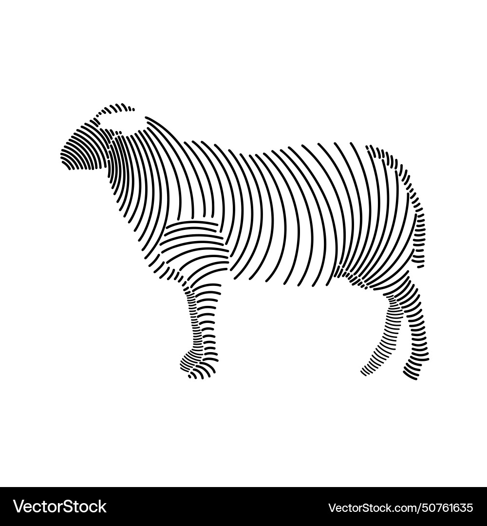 Simple line art of a sheep 3 Royalty Free Vector Image