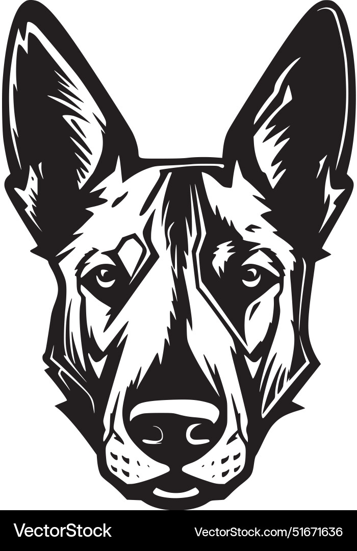 Australian kelpie - minimalist and simple Vector Image