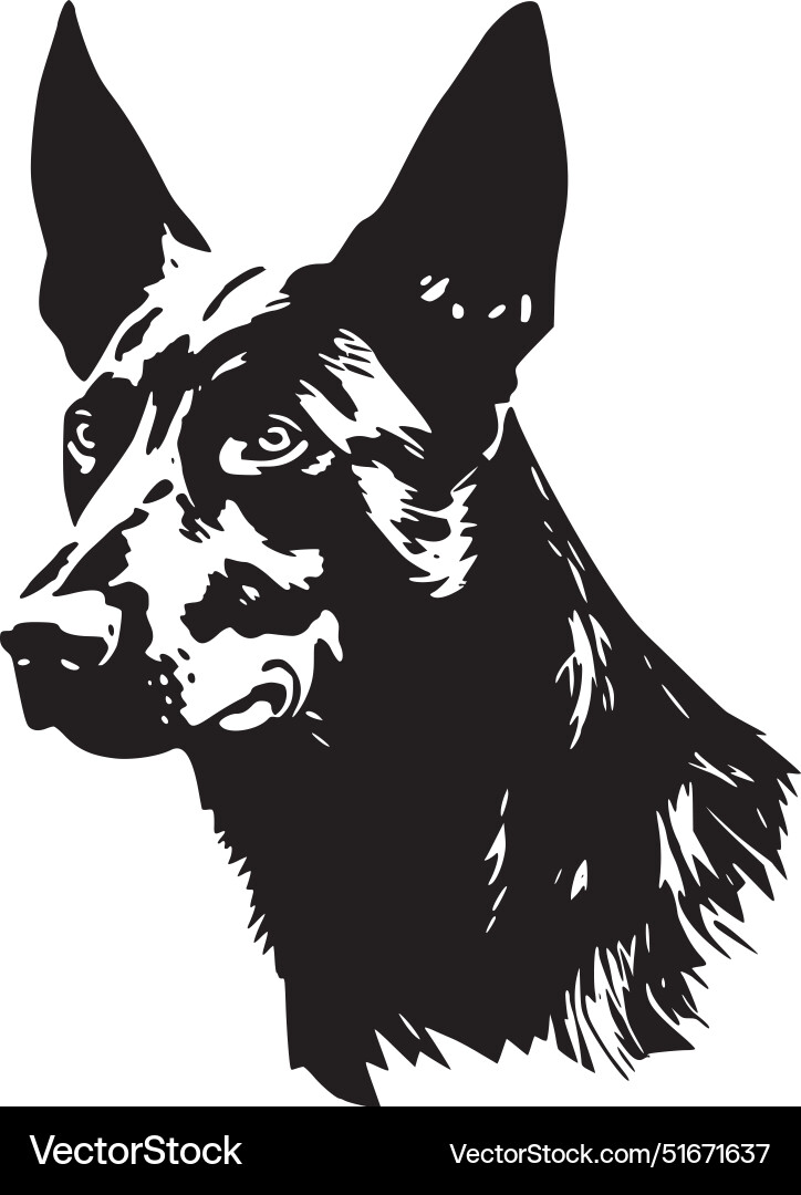Australian kelpie - minimalist and simple Vector Image