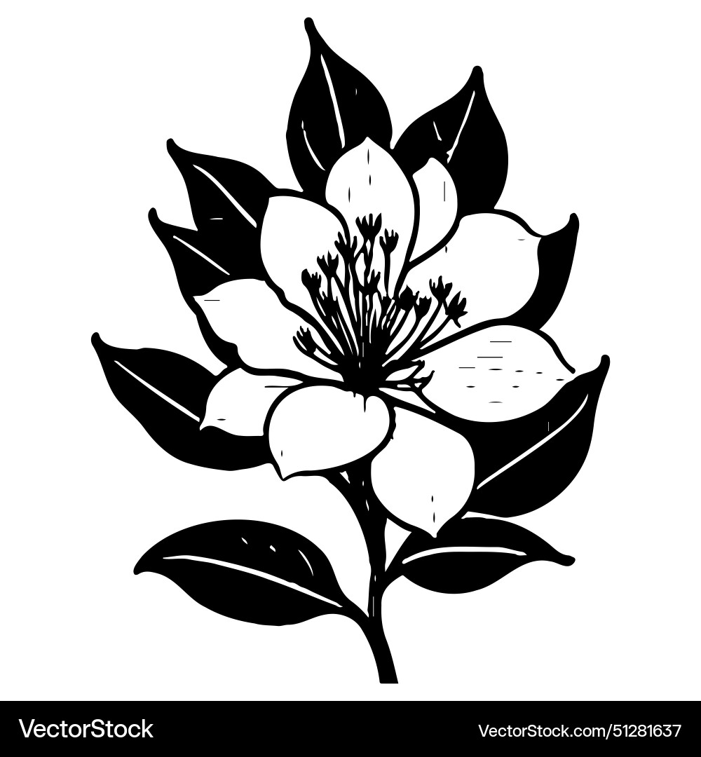 Azalea flower sketch Royalty Free Vector Image