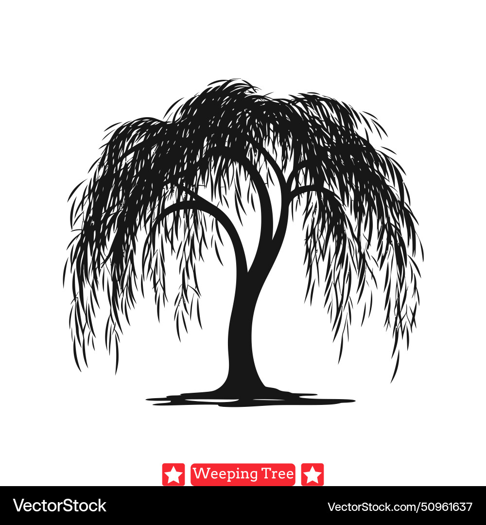 Willow Vector Images (over 8,000)