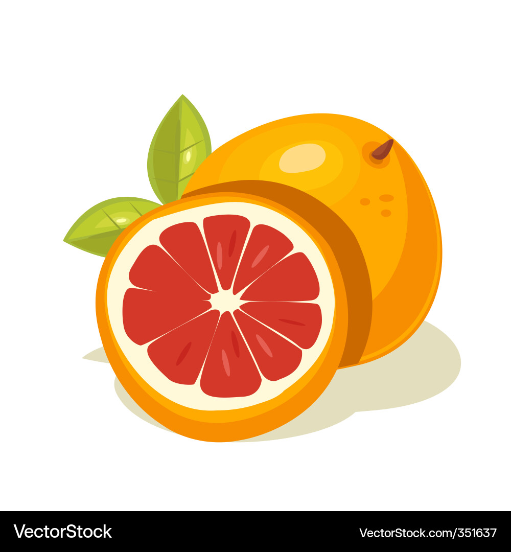 Grapefruit Royalty Free Vector Image - VectorStock