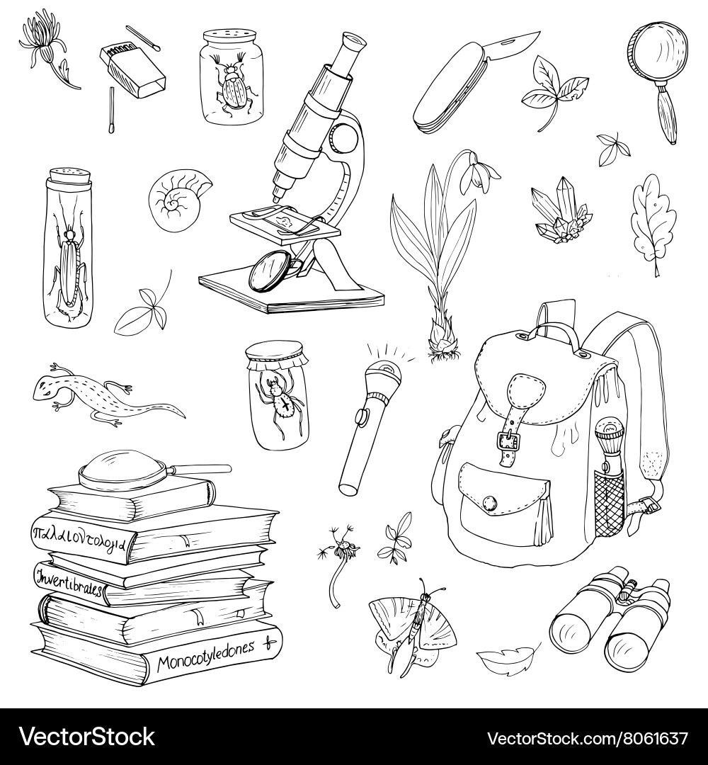 Scientist traveler and explorer objects Royalty Free Vector