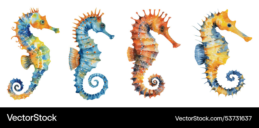 Seahorse clipart Royalty Free Vector Image - VectorStock