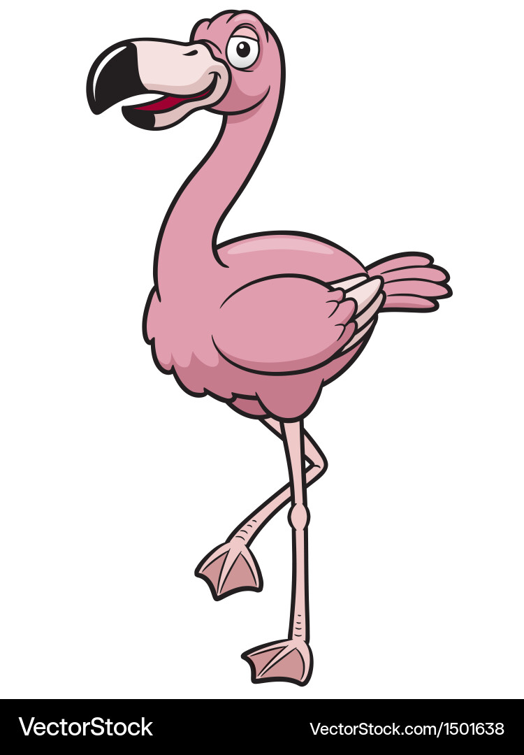 Flamingo Royalty Free Vector Image - VectorStock
