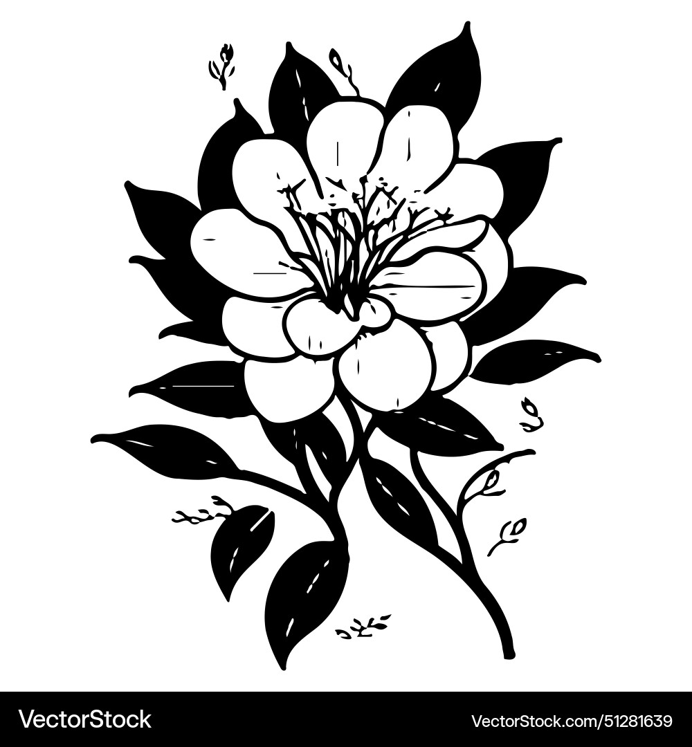 Azalea flower sketch Royalty Free Vector Image