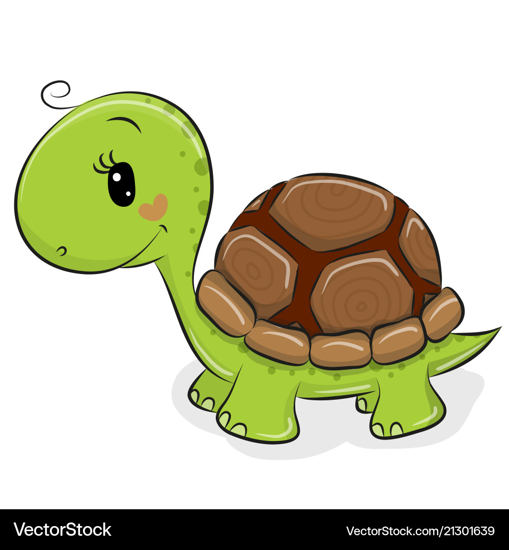 Cartoon Turtle Illustration Royalty Free Vector Image