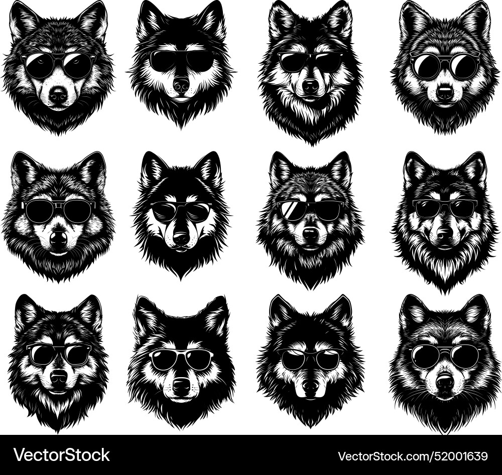 Wolves predator heads with glasses black Vector Image