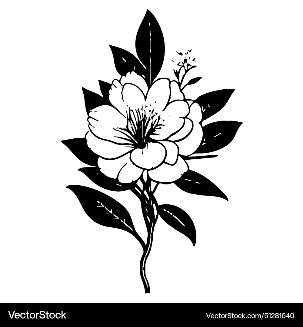 Azalea flower sketch Royalty Free Vector Image