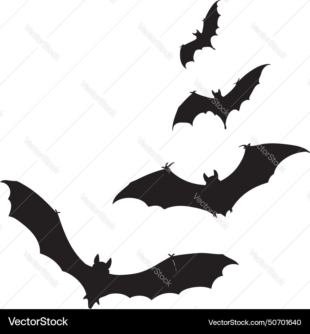 Bats graphic Royalty Free Vector Image - VectorStock