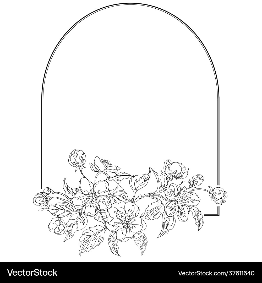 Bouquets with flowers and frame Royalty Free Vector Image