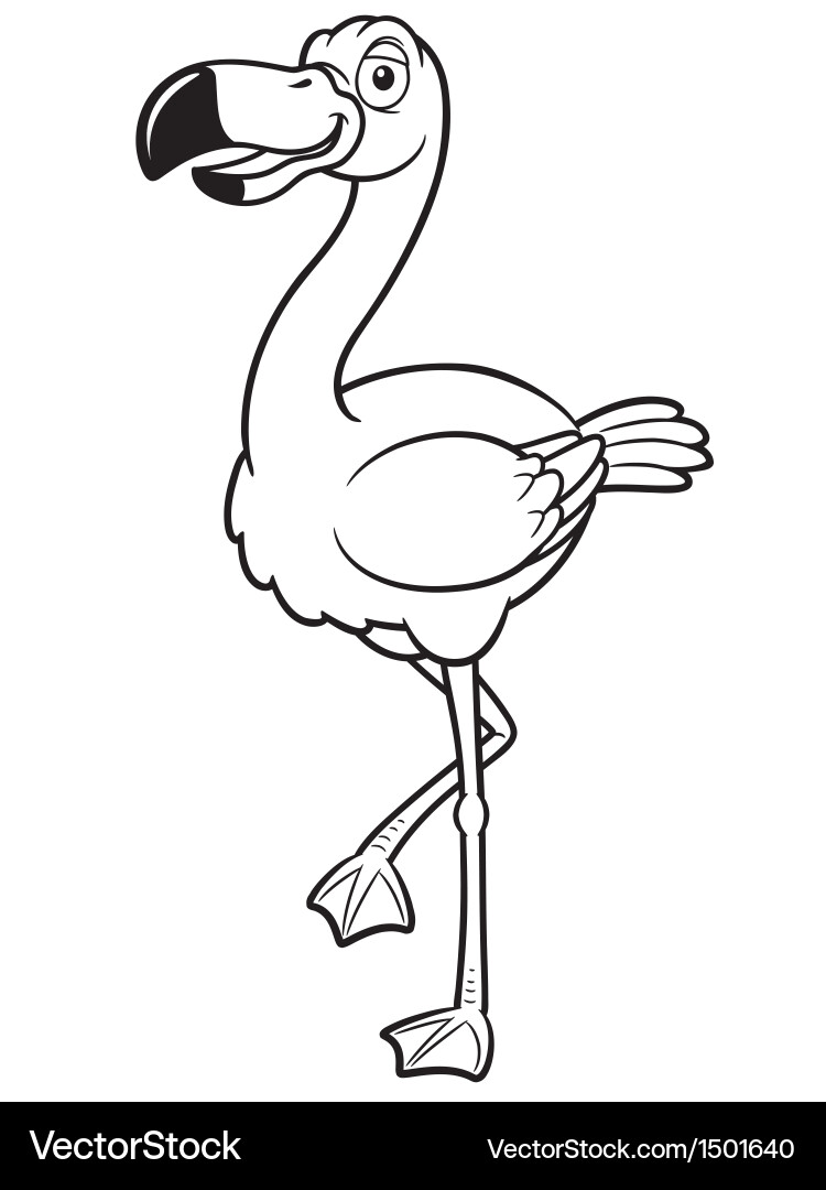 Flamingo Royalty Free Vector Image - VectorStock