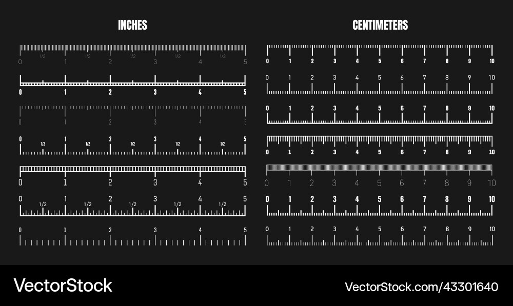Realistic white centimeter and inch scale Vector Image