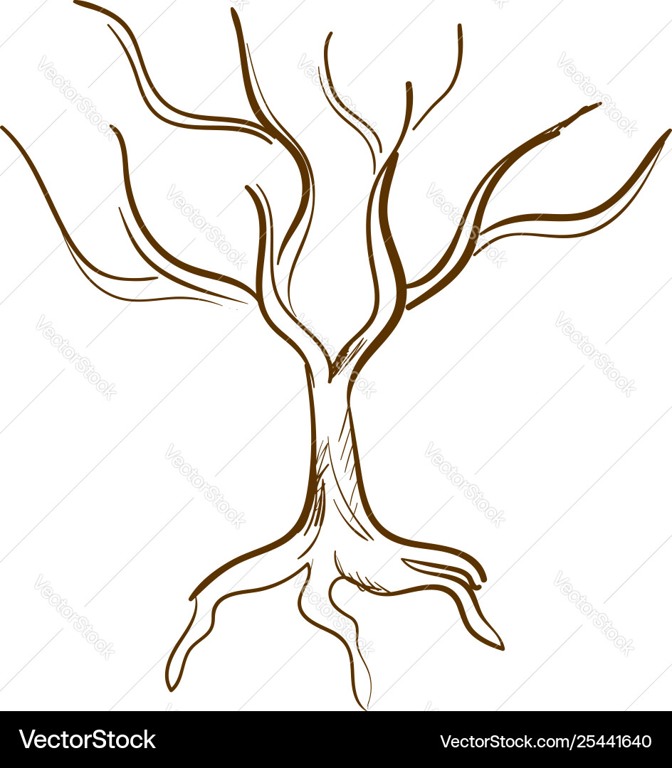 Tree Roots Drawing Color