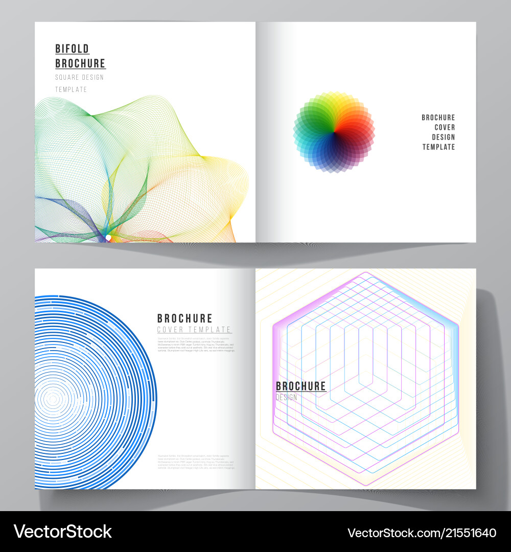 The layout of two Royalty Free Vector Image - VectorStock