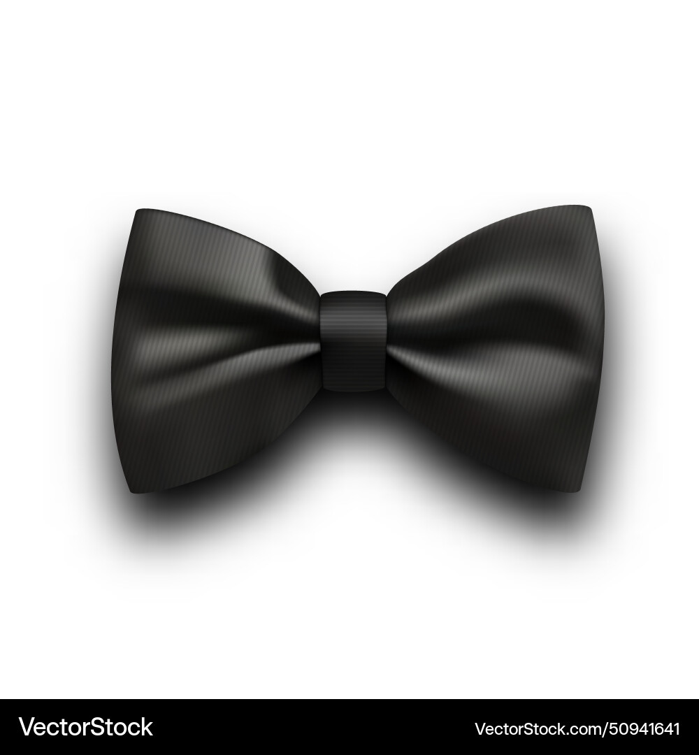 3d realistic black bow tie isolated on white Vector Image