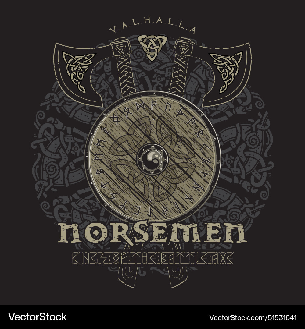 Celtic shield decorated with a ancient european Vector Image