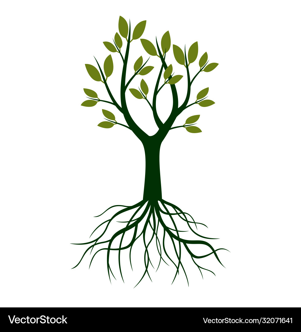 Green tree with leaves outline Royalty Free Vector Image