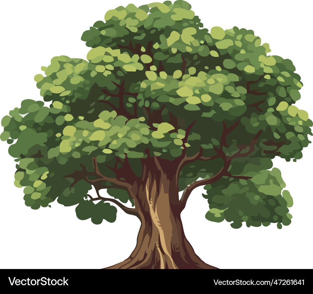 Nature big tree Royalty Free Vector Image - VectorStock