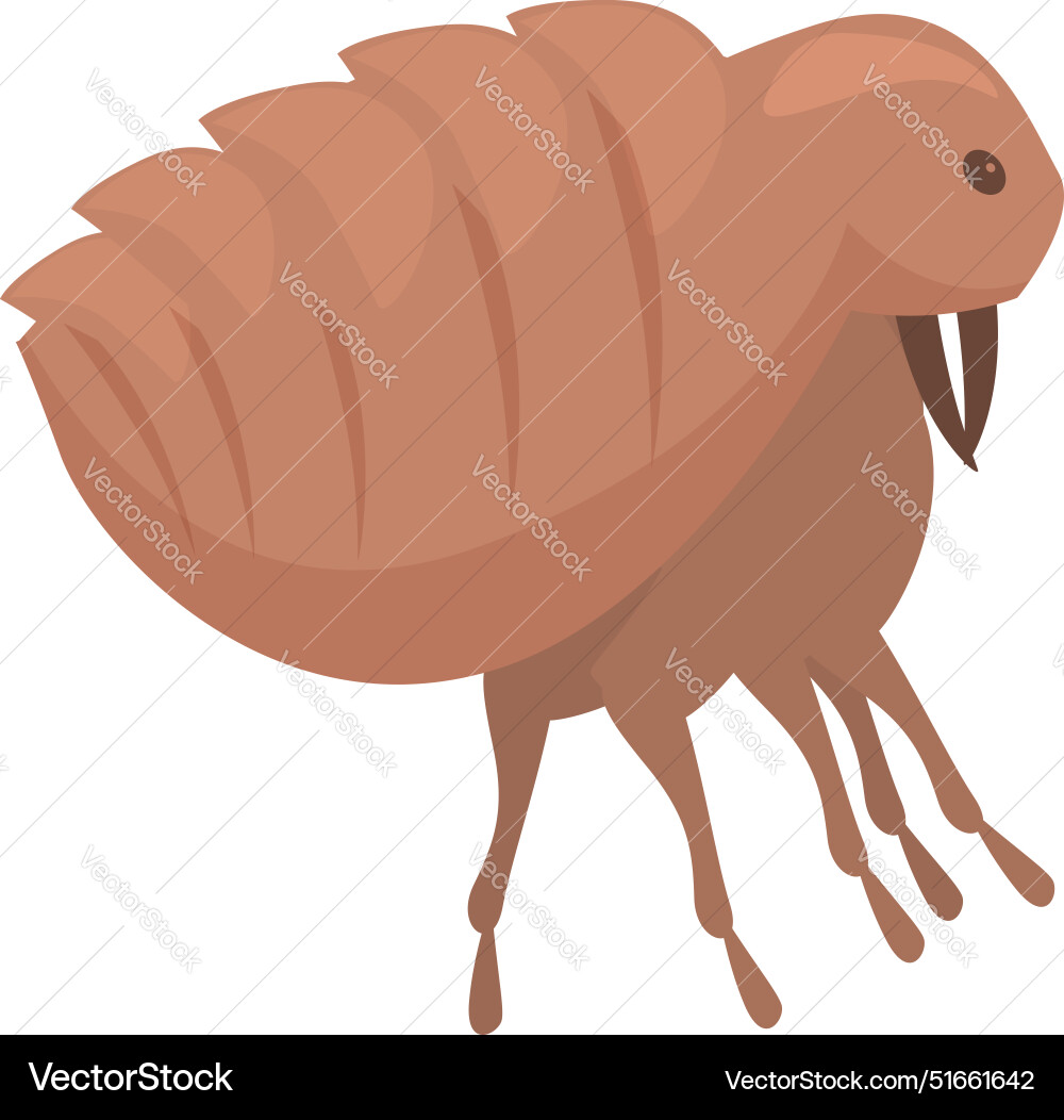 Flea walking showing its tiny hairs and powerful Vector Image
