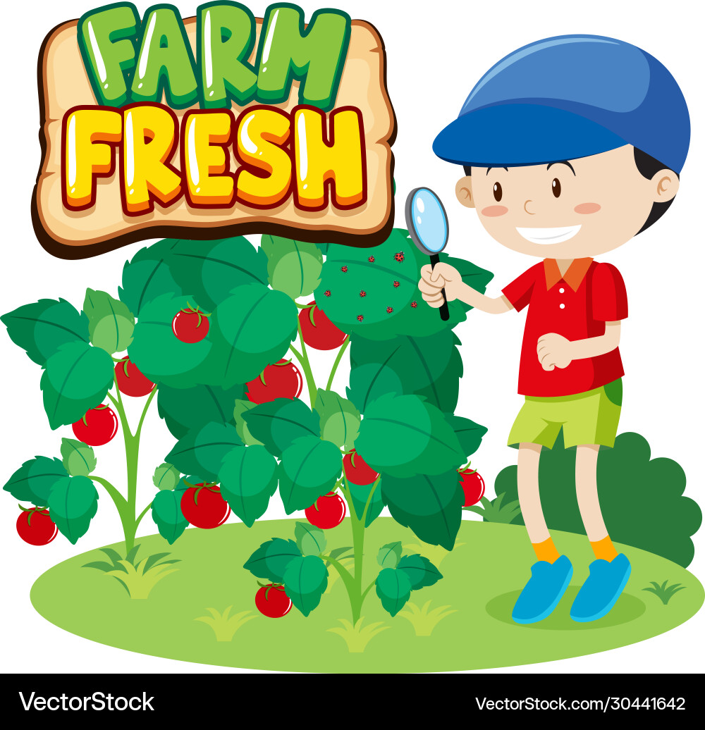 Font design for word fresh farm Royalty Free Vector Image