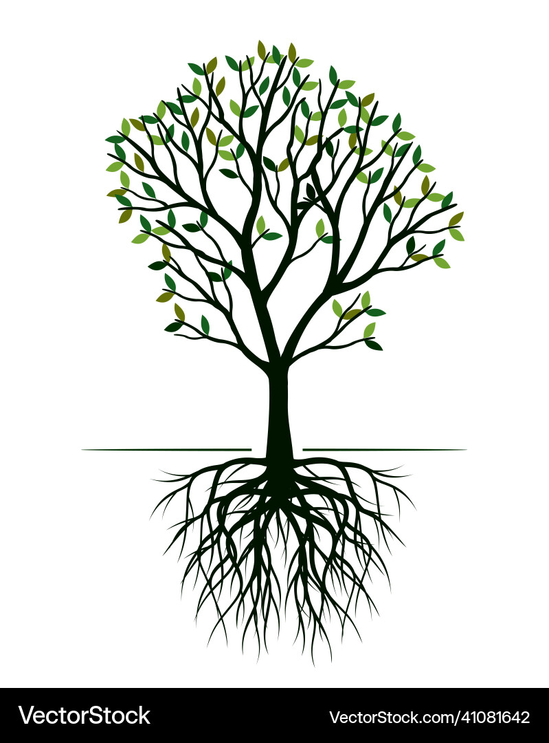 Green outline tree Royalty Free Vector Image - VectorStock
