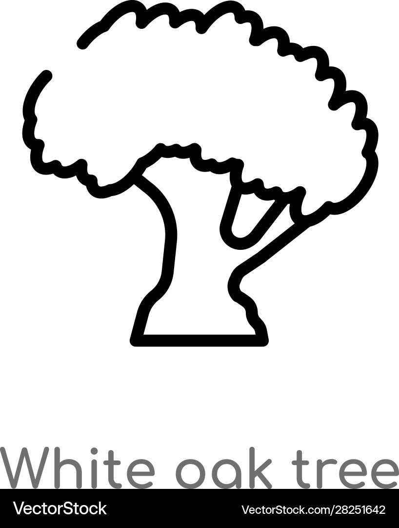 Outline white oak tree icon isolated black simple Vector Image