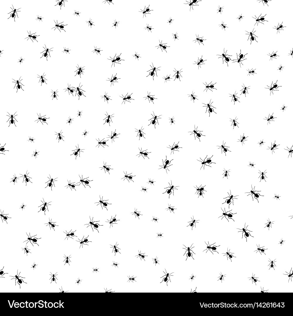 Ants group isolated on white background seamless Vector Image