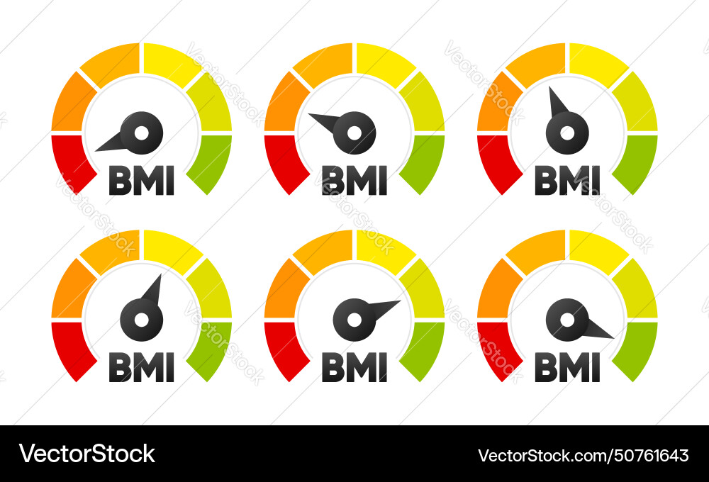 Body mass index level concept obese chart Vector Image