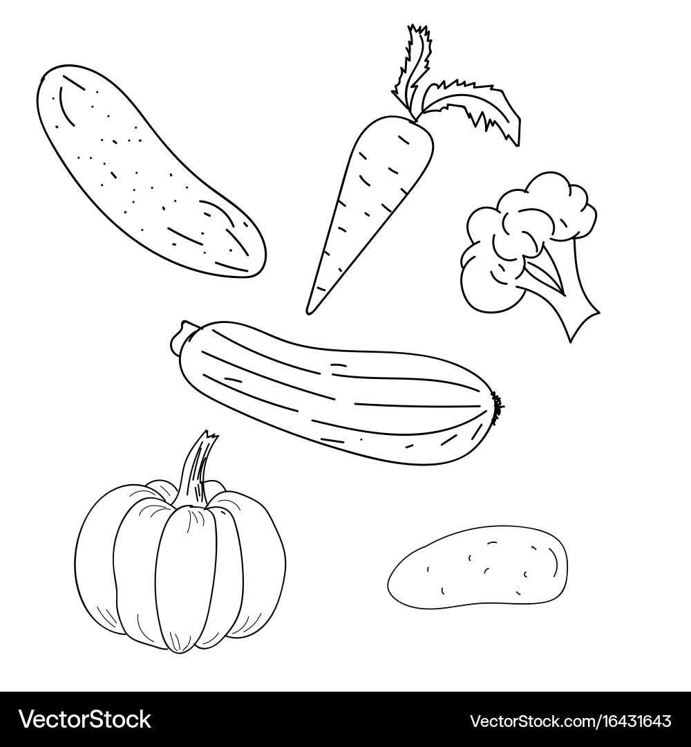 Vegetables outline hand drawing Royalty Free Vector Image