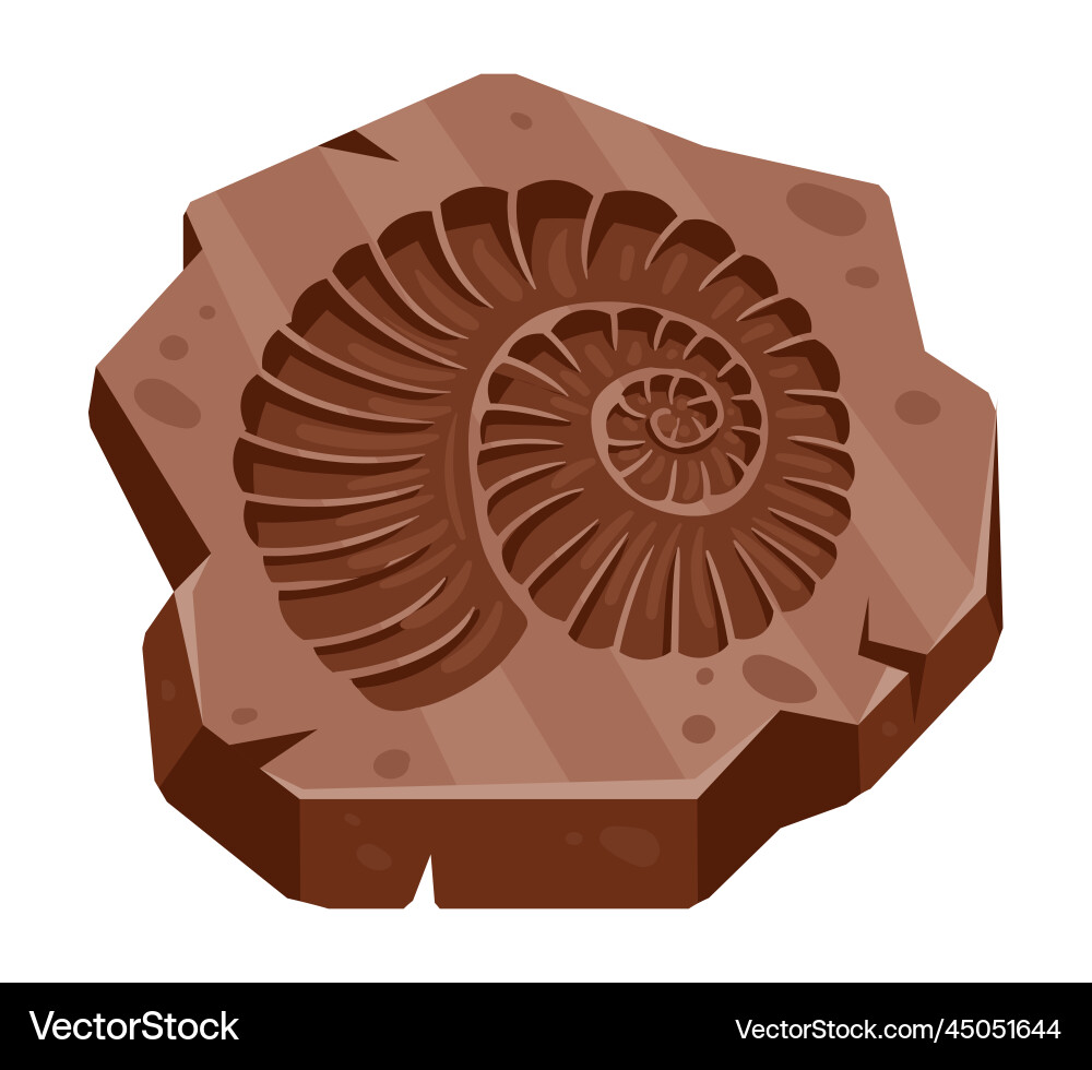 Cartoon archeology ammonite fossil ancient Vector Image