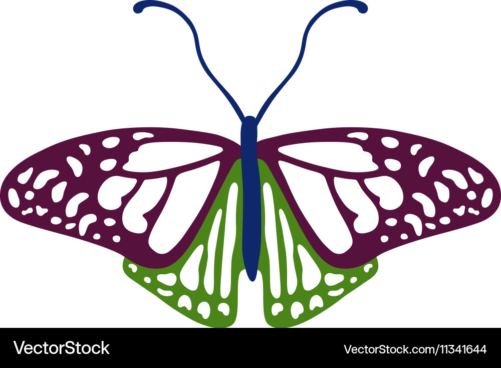 Colored butterfly logo Royalty Free Vector Image