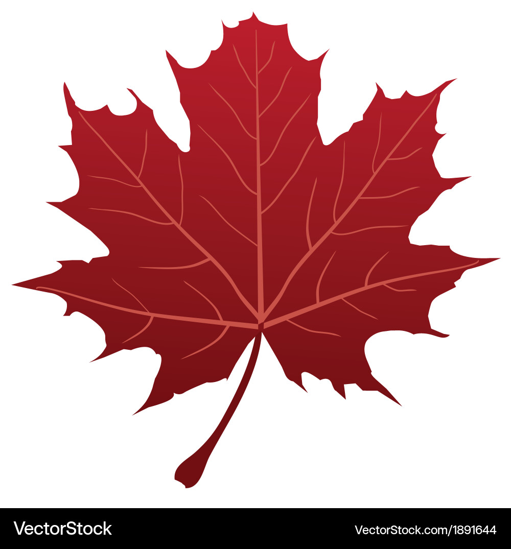 Leaf red Royalty Free Vector Image - VectorStock