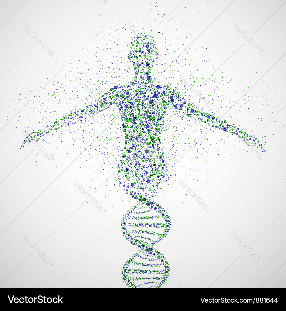 Human Body Cells Vector Images (over 13,000)