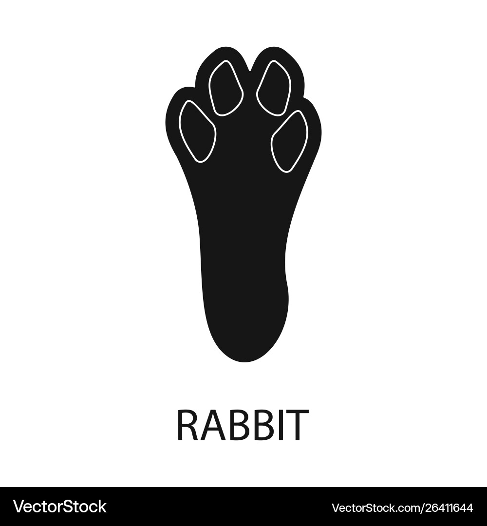 Rabbit Paw Footprint Set Royalty Free Vector Image
