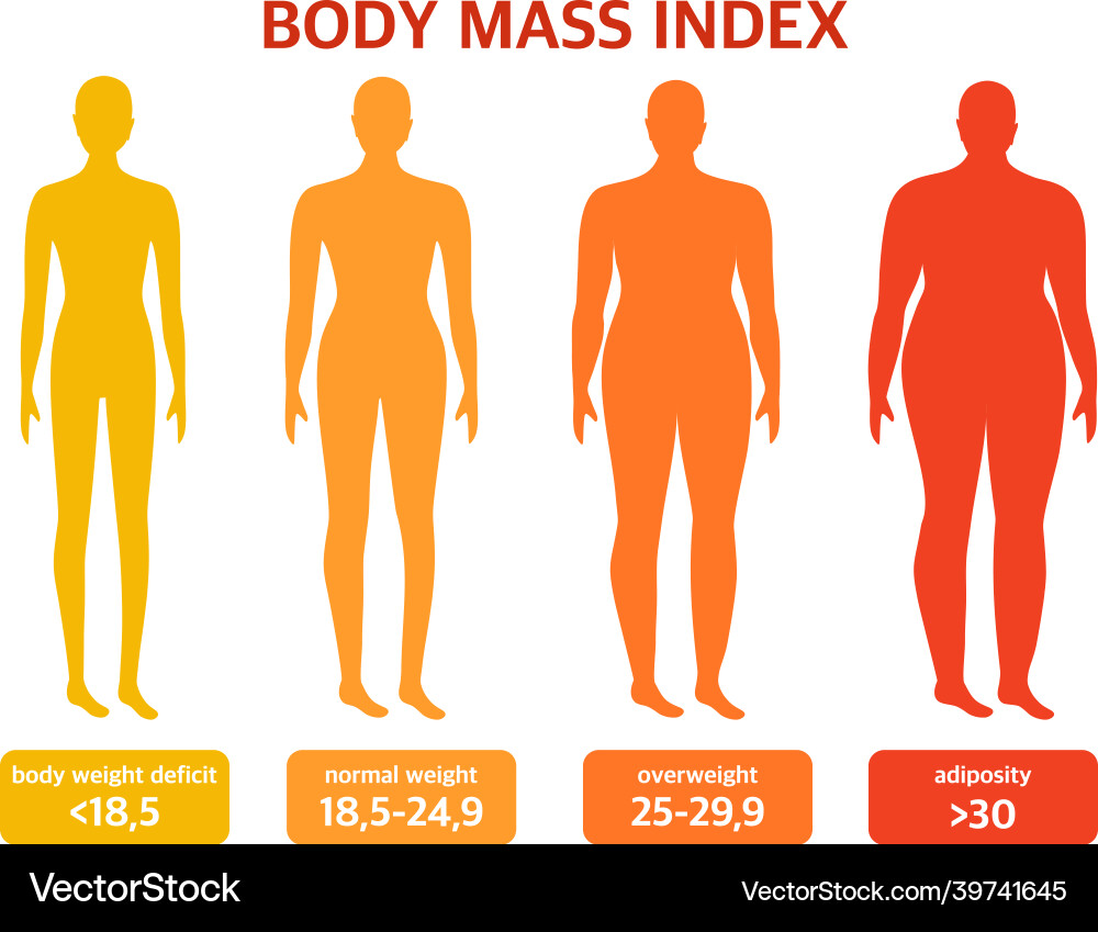 Different types of shapes body mass index Vector Image