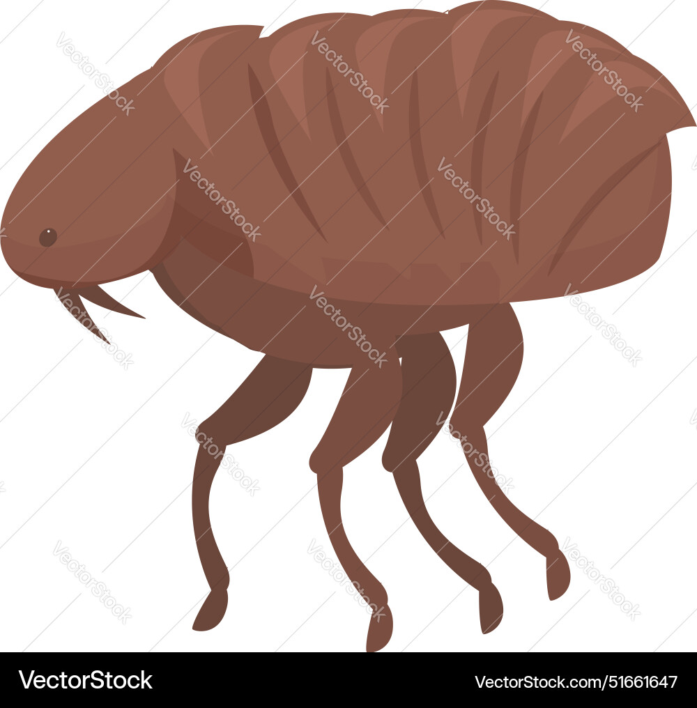 Brown flea insect walking side view Royalty Free Vector