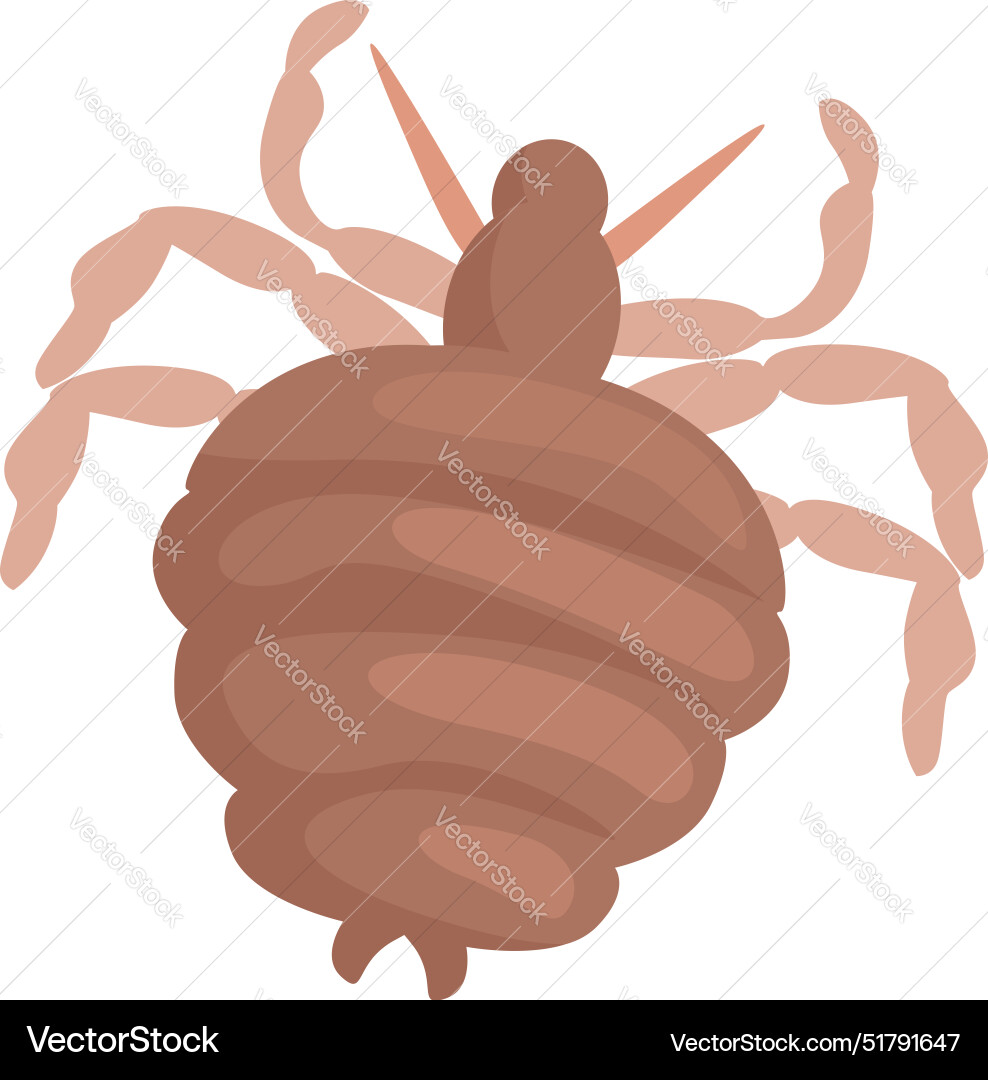 Full mite crawling and spreading diseases Vector Image