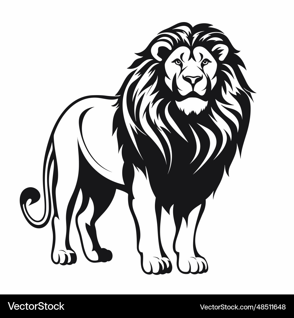 Lion Full Body Vector Images (69)